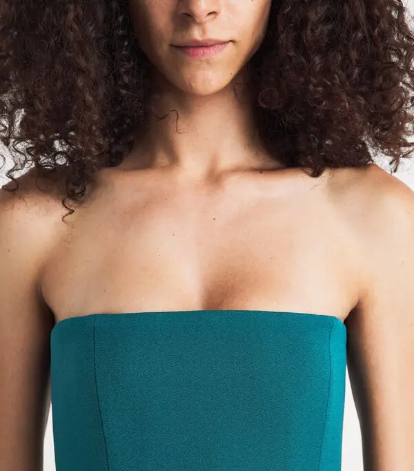 Alex Perry Stretch-crepe Strapless Mini Dress