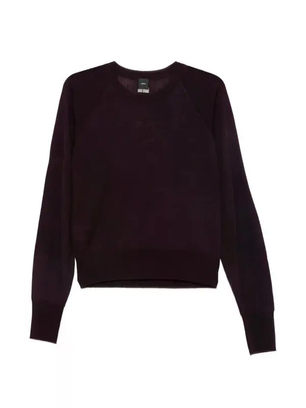 Pinko Love Birds Embroidered Raglan Sleeve Sweater