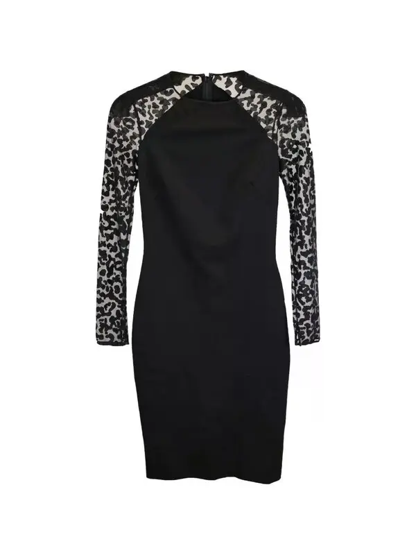 Stella McCartney Lace Mesh Dress