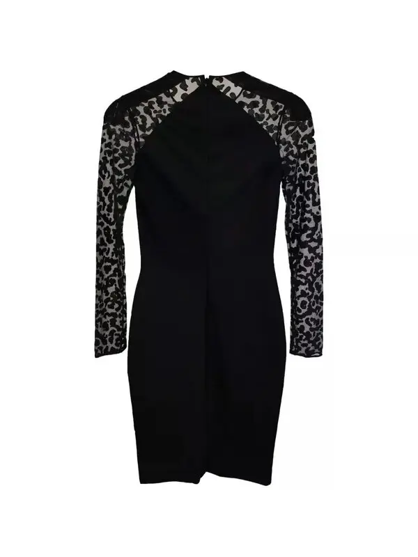 Stella McCartney Lace Mesh Dress