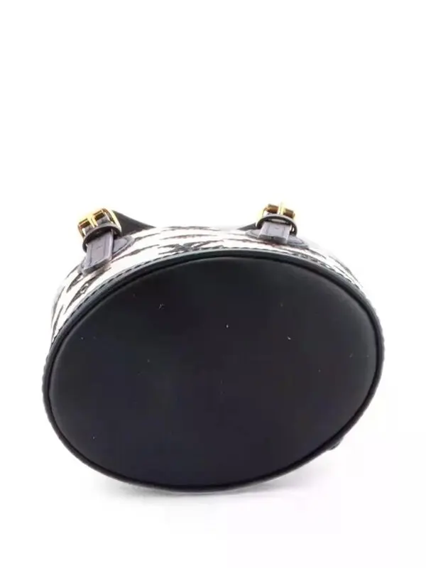 LOUIS VUITTON By The Pool Monogram Raffia Nano Bucket Bag