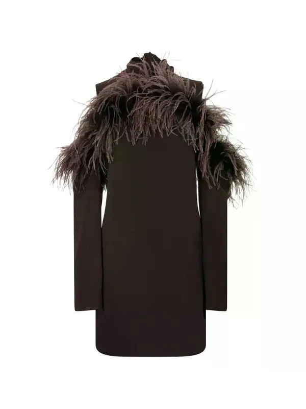 P.a.r.o.s.h Feather-trim Cold-shoulder Dress - Brown