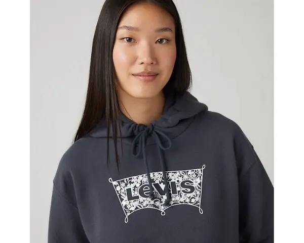 LEVI'S Graphic Everyday Hoodie