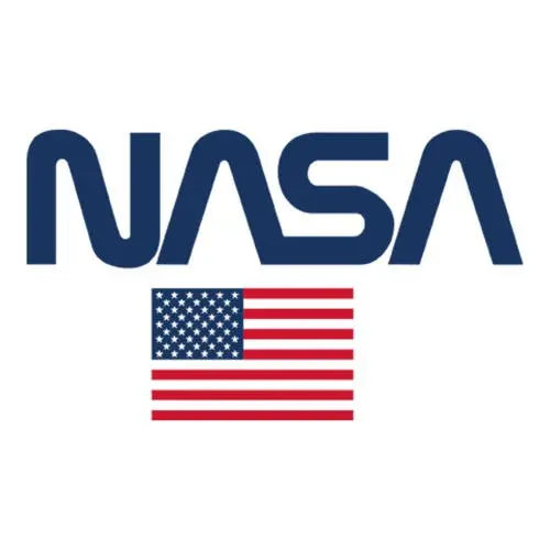 NASA Americana Logo Flag T Shirt