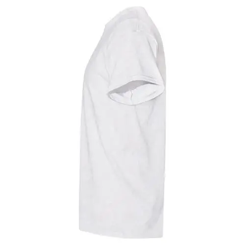 NASA Americana Logo Flag T Shirt