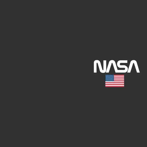 NASA Pocket Flag Logo Graphic T-shirt