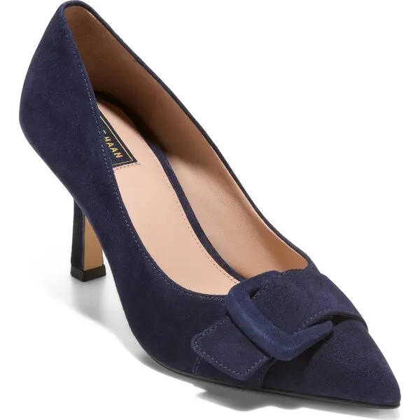 Cole Haan Fidela Pointed Toe Pump - Midnight Moon Suede