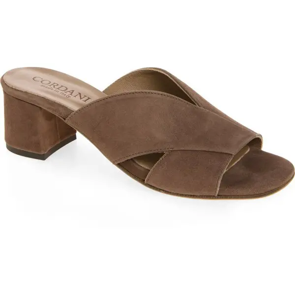 Cordani Ilene Slide Sandal - Fango Suede