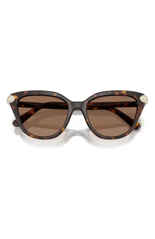 SWAROVSKI Cat Eye Sunglasses