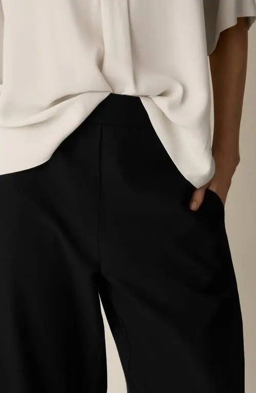 Eileen Fisher Arched Ankle Pants