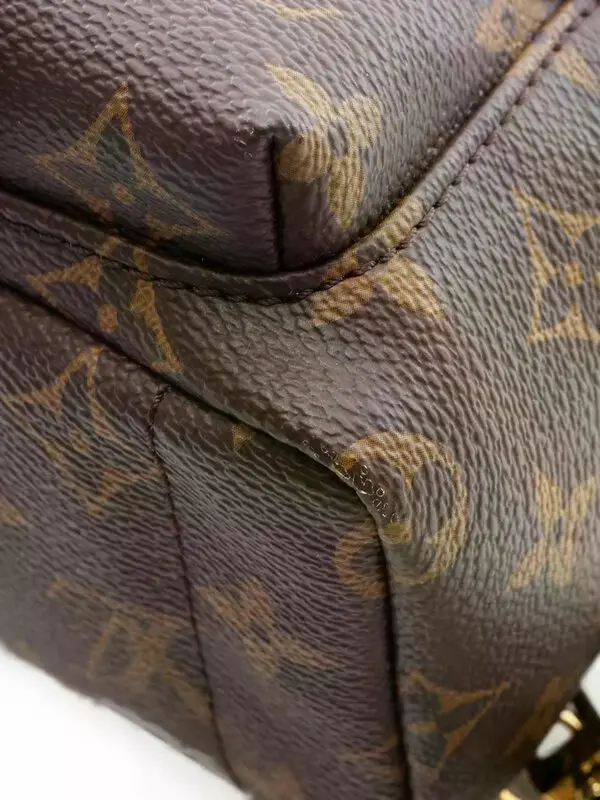 LOUIS VUITTON 2020 Palm Springs Monogram Backpack