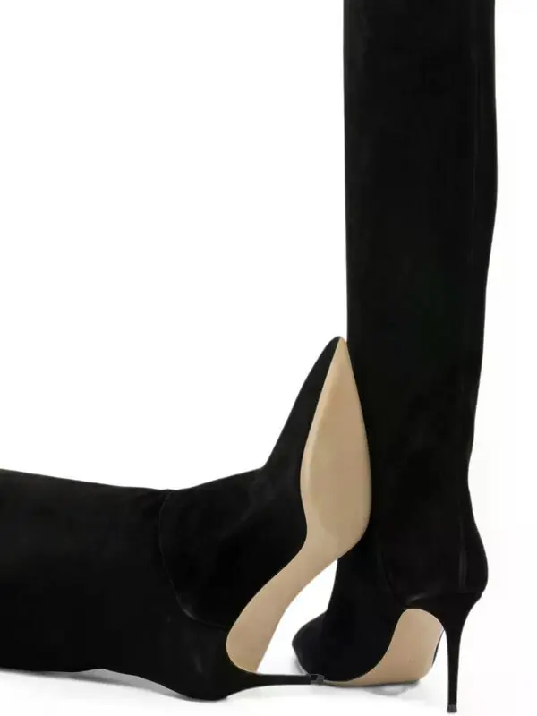 Casadei Renna Suede Pointed-toe Knee-high Boots