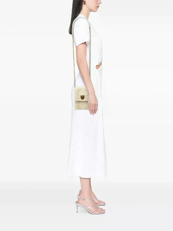 Dior 2017 Studded Lambskin Vertical Diorama Crossbody Bag - Neutrals