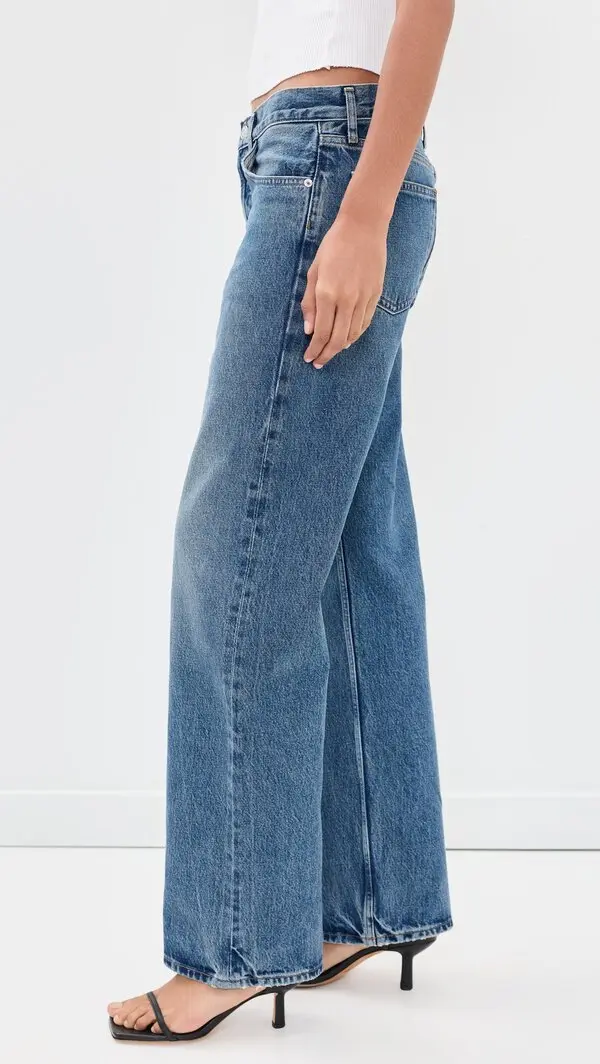 AGOLDE Low Loose Jeans