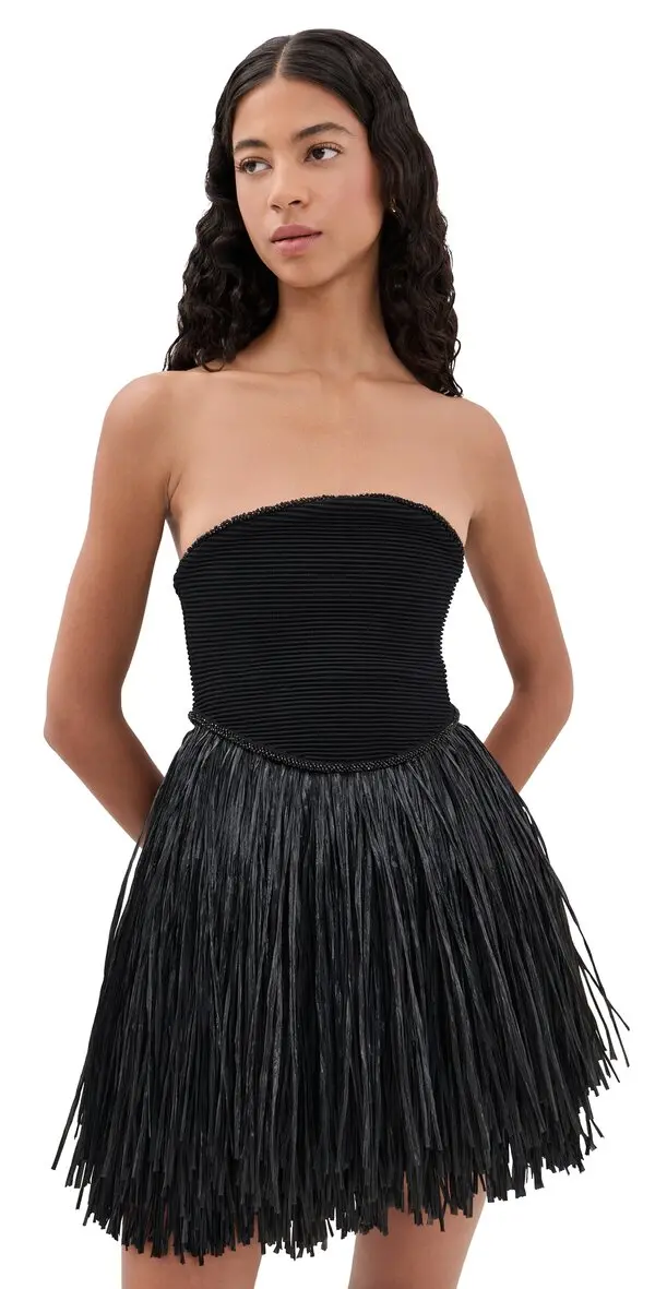 Aje Florentia Raffia Mini Dress