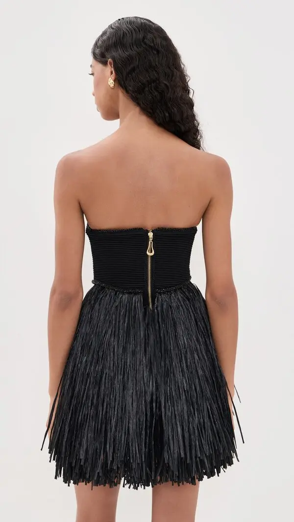 Aje Florentia Raffia Mini Dress