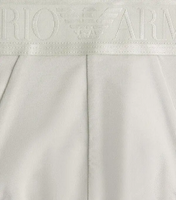 Emporio Armani Modal Logo Briefs