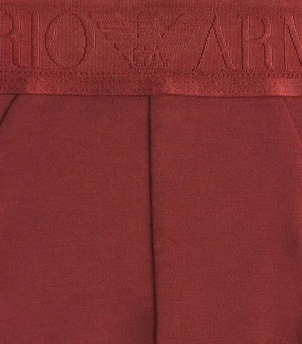 Emporio Armani Modal Logo Briefs