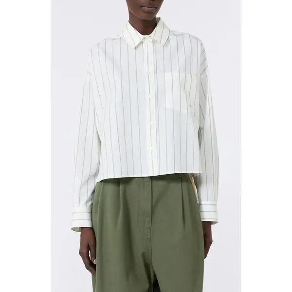 Max Mara Certosa Pinstripe Cotton Shirt - Brown