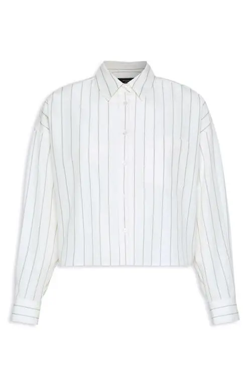 Max Mara Certosa Pinstripe Cotton Shirt