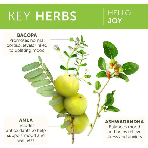 HIMALAYA WELLNESS Hello Joy 60 Capsules