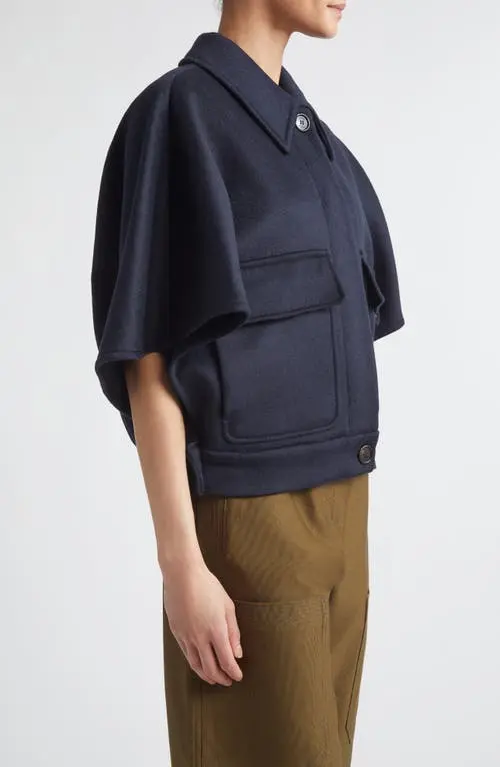 Max Mara Dream Cashmere Cape