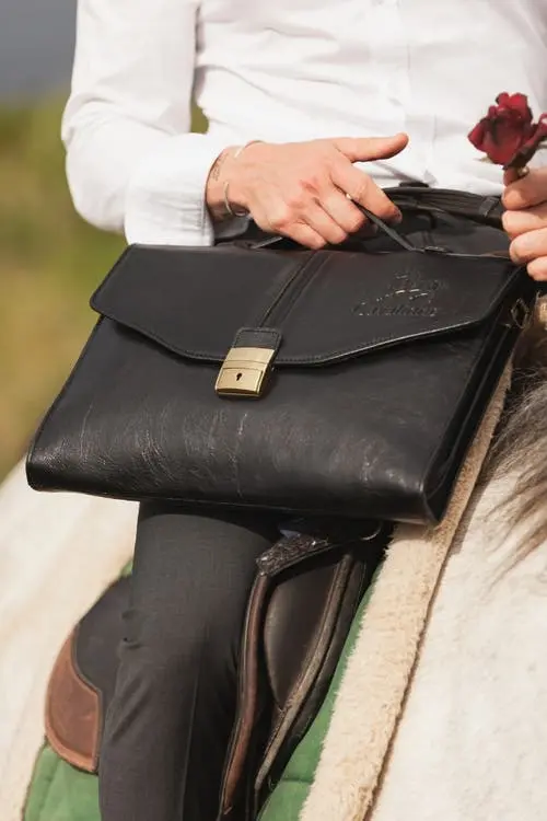 CAVALINHO Gentleman 172 Leather Briefcase