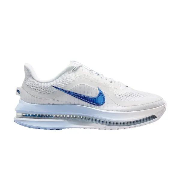 Nike Wmns Pegasus Premium Aluminum
