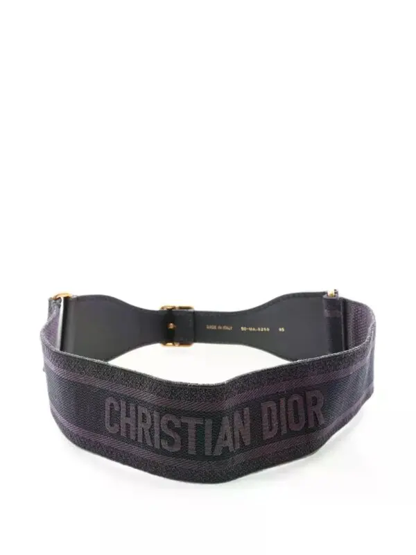Dior Embroidered Canvas Belt