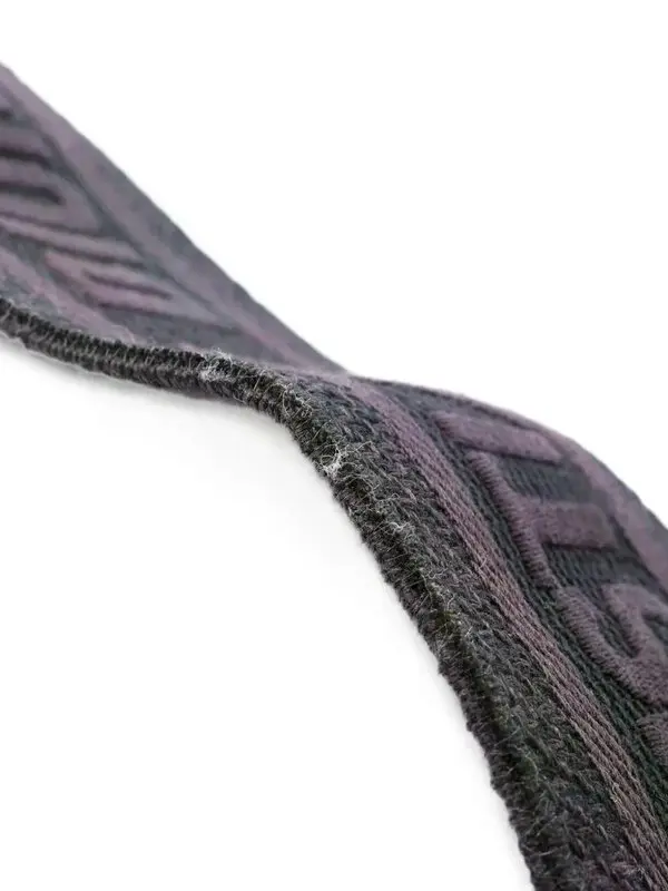 Dior Embroidered Canvas Belt