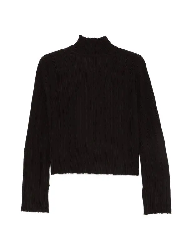 ALYSI Wool Turtle-neck Sweater