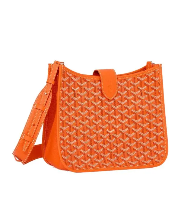 Goyard Musette Bag