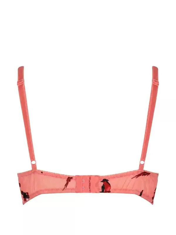 LAURA URBINATI Bird-print Scalloped-trim Bra - Pink