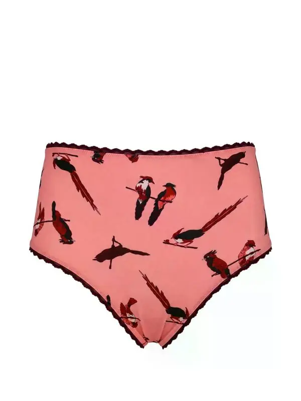 LAURA URBINATI Bird-print High-waisted Briefs - Pink