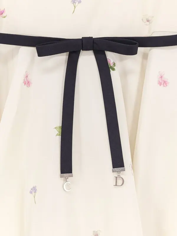 Dior Printed Silk Dress
