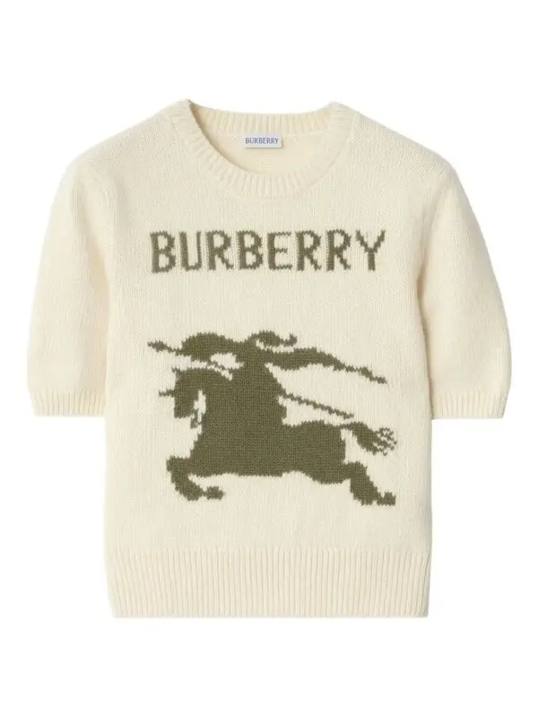 Burberry Skylar Ekd Sweater - Multicolor