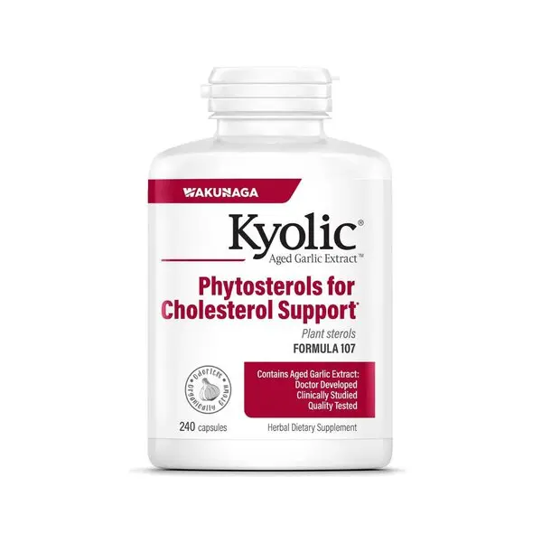 KYOLIC Aged Garlic Extract Formula 107
