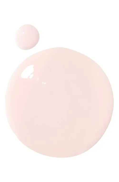 ROUND LAB Camellia Deep Collagen Firming Ampoule