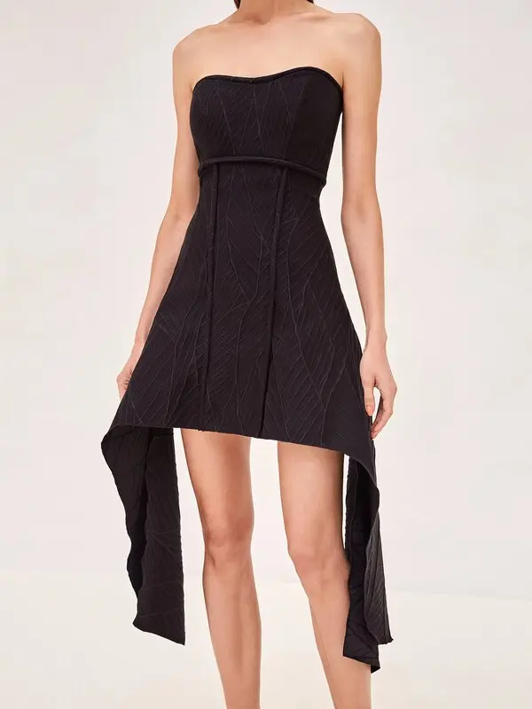 Alexis Brigitte Strapless Mini Dress With High-low Hemline