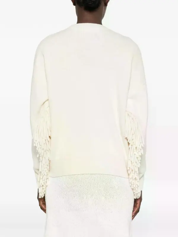Federica Tosi Crew Neck Long-sleeve Fringed Sweater