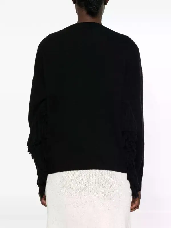 Federica Tosi Fringe Detail Crew Neck Sweater