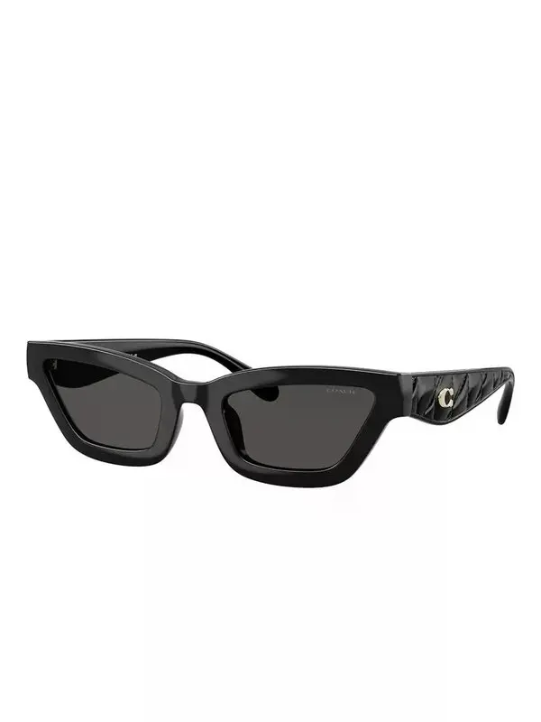 COACH Cat-eye Sunglasses