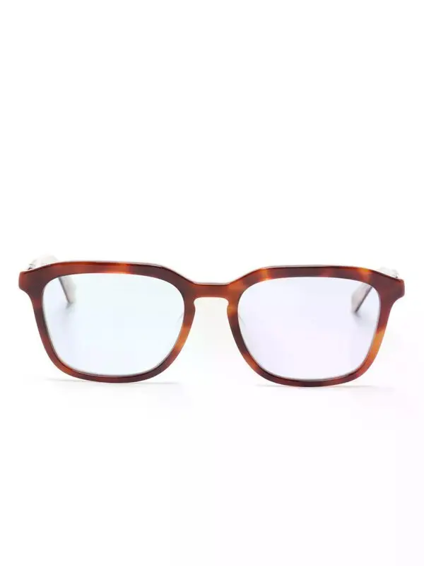 Brunello Cucinelli Bc3011 Glasses - Brown