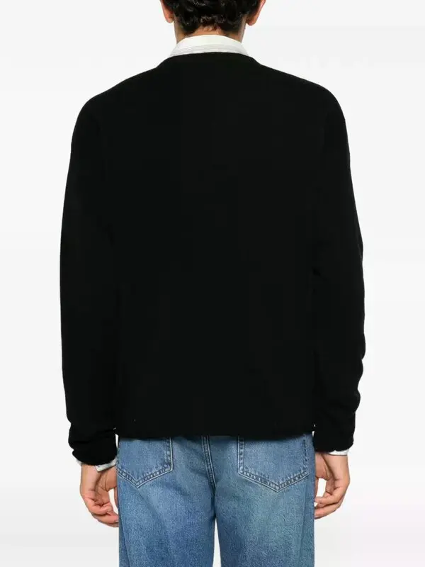 Extreme Cashmere Paolo Crew-neck Long-sleeve Sweater
