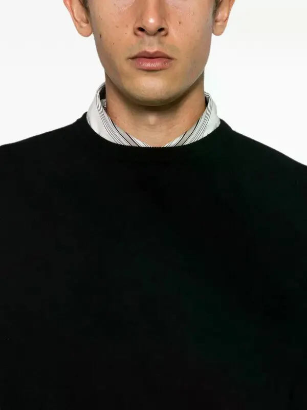 Extreme Cashmere Paolo Crew-neck Long-sleeve Sweater