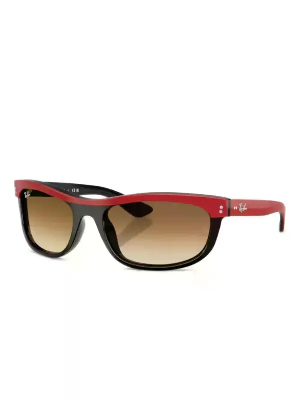 Ray-ban Sunglasses