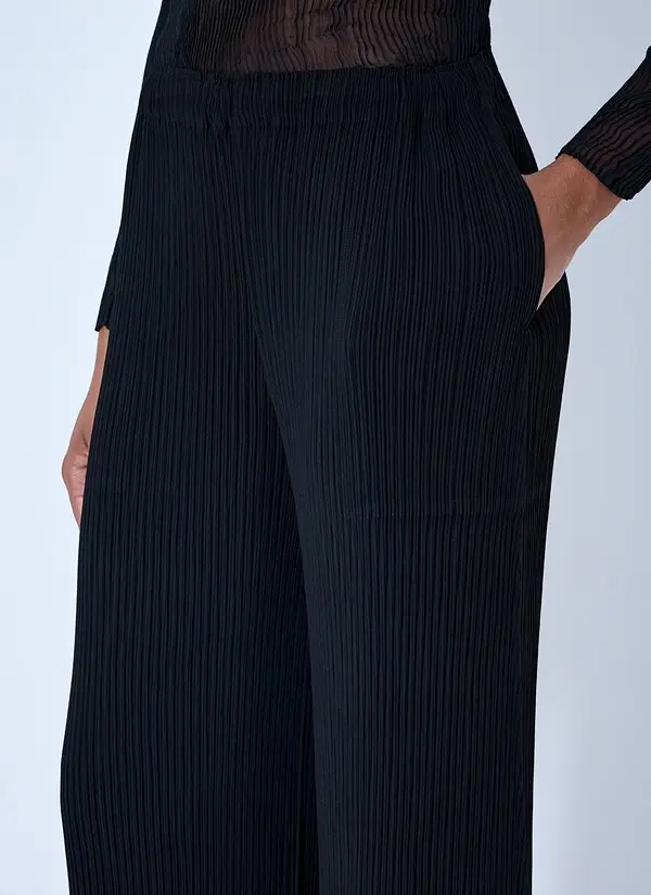 Issey Miyake Hatching Pleats Pants