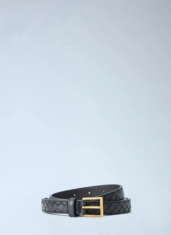 Bottega Veneta Woven Leather Belt With Metal Buckle - Multicolor