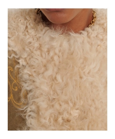 Etro Shearling-lined Embroidered Vest