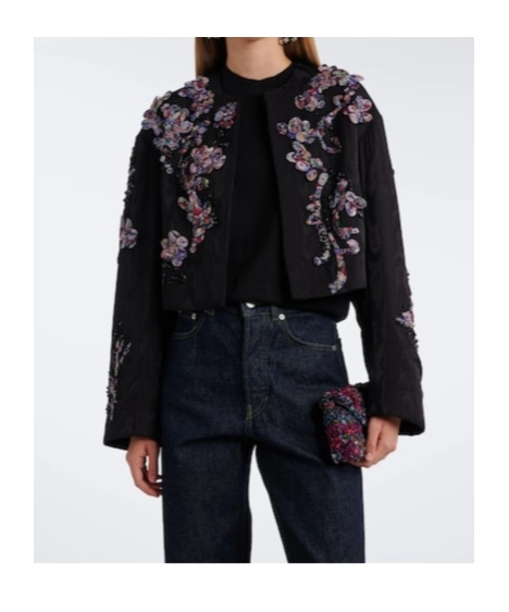 Dries Van Noten Vonda Appliqué-embellished Cropped Jacket